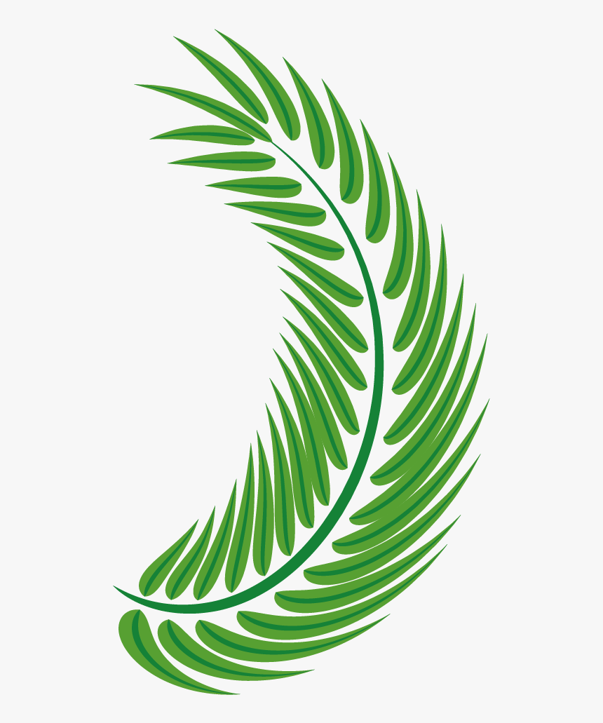 Transparent Palm Leaf Vector Png - Palm Trees, Png Download - kindpng Transparent Palm Leaf Vector Png - Palm Trees, Png Download - kindpng