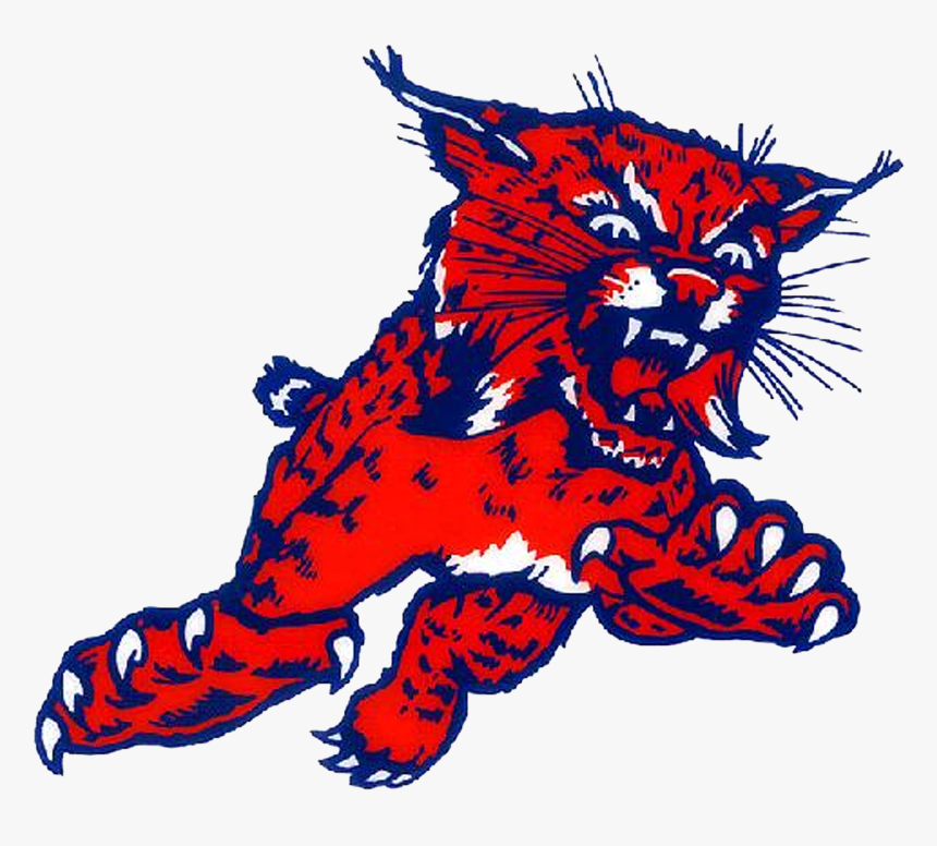 Bobcat Png, Transparent Png - kindpng