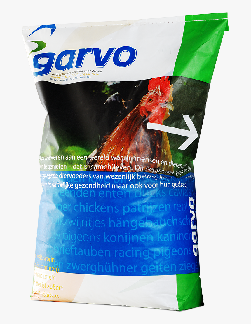 Garvo, HD Png Download - kindpng