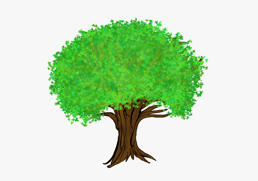 Tree Cartoon Transparent Background, HD Png Download - kindpng