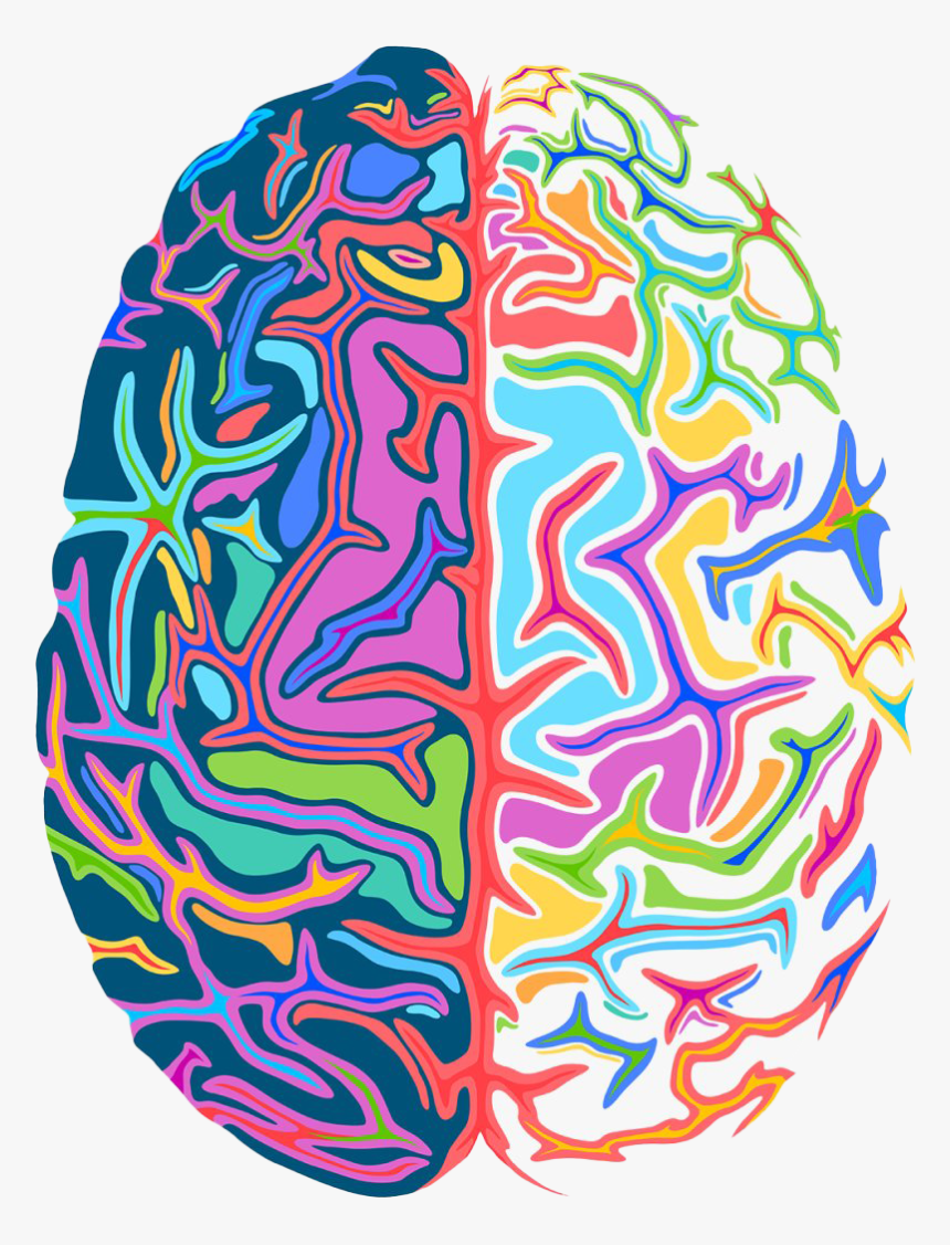 Art Brain Png Image - Psychedelic Png, Transparent Png - kindpng