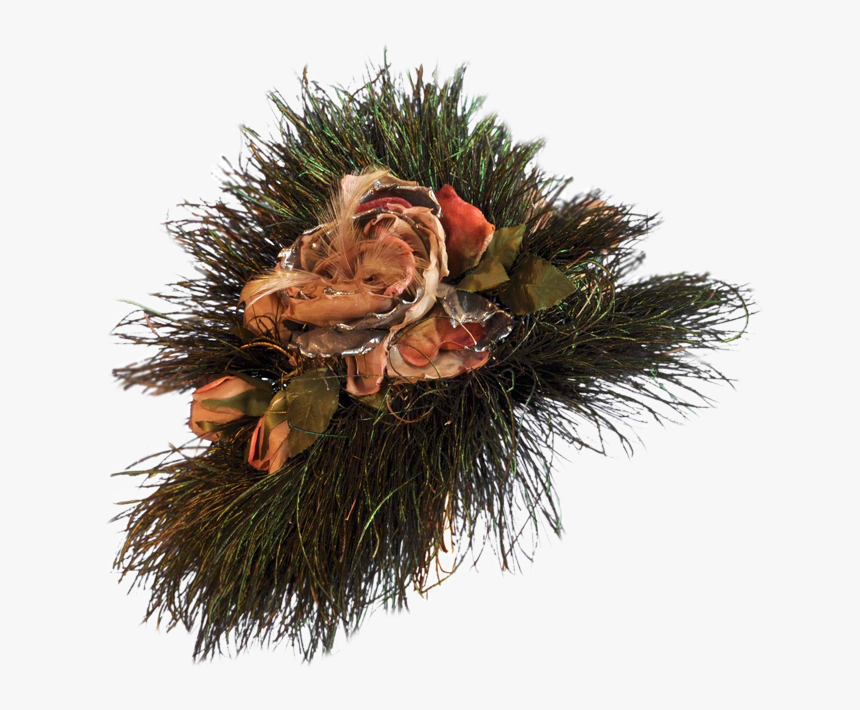 Shortleaf Black Spruce, HD Png Download - kindpng