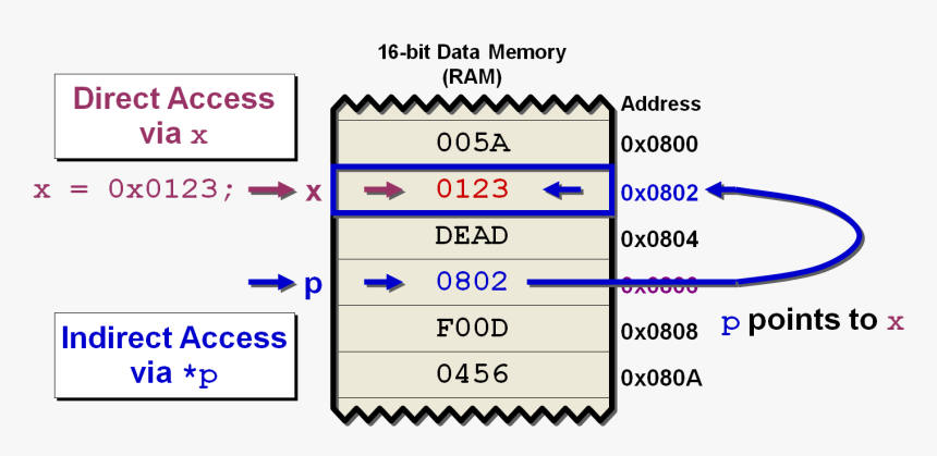 Pointerswork - Pointer, HD Png Download - kindpng