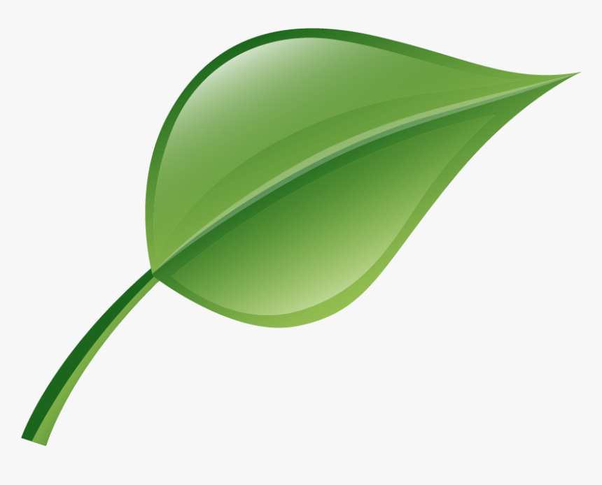 Leaf-icon, HD Png Download - kindpng