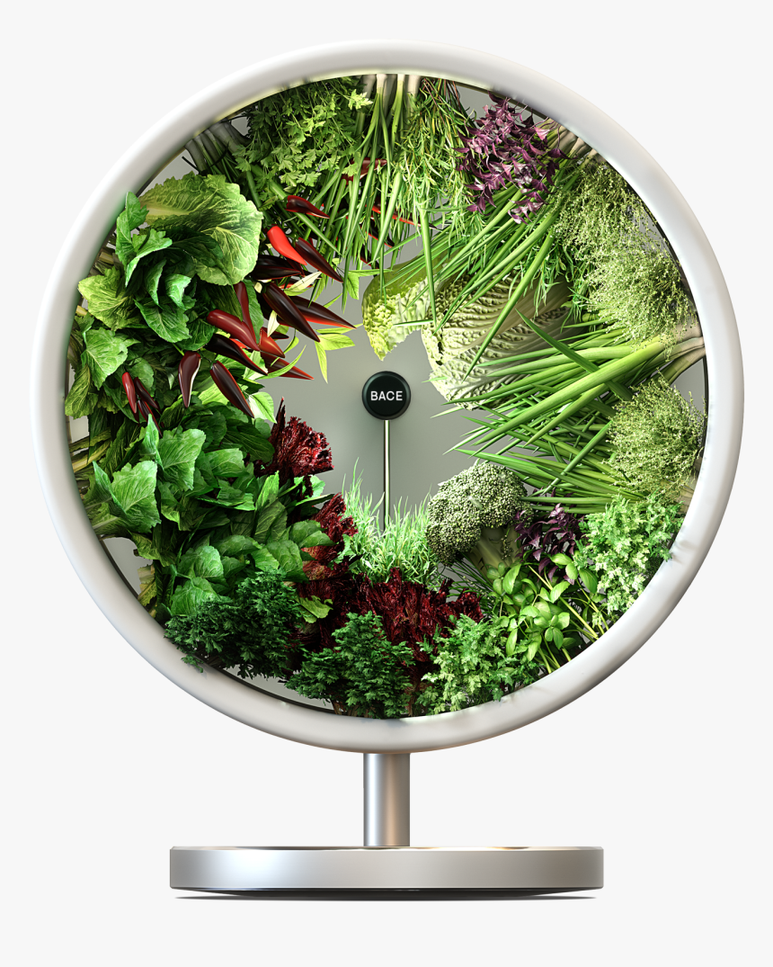 Bace Rotofarm, HD Png Download - kindpng