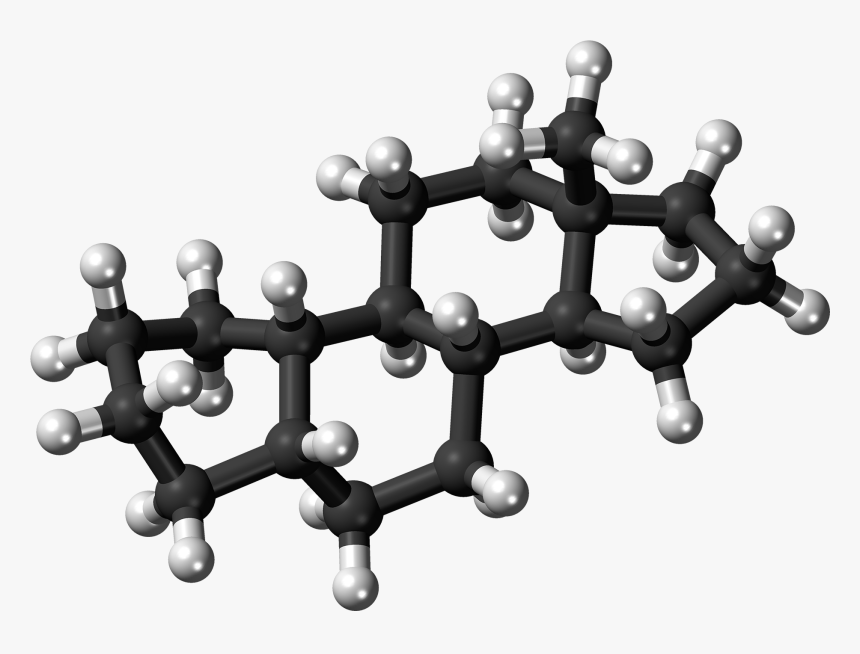 5beta-estrane Molecule Ball - Testostérone Molécule, HD Png Download ...