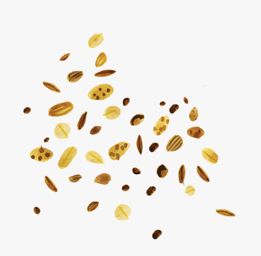 Grains, HD Png Download - kindpng