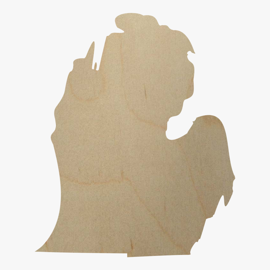 Florida Shape Png, Transparent Png - kindpng