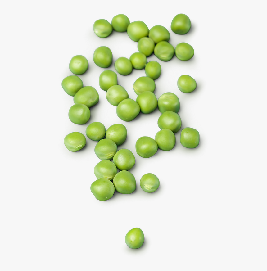 Pea, HD Png Download - kindpng
