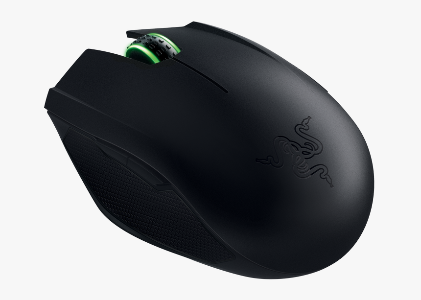 Mouse, HD Png Download - kindpng